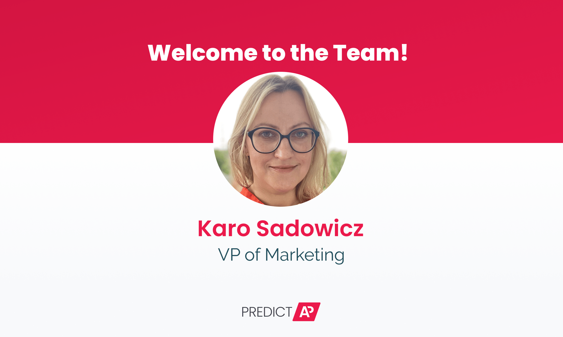 PredictAP Management Team, Advisory Board, Company Overview